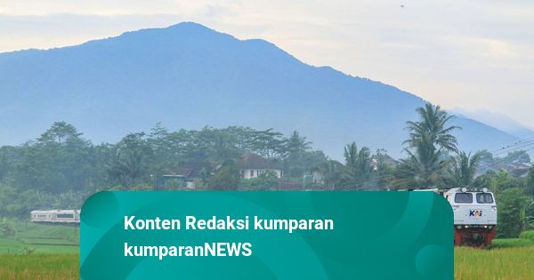 Aksi Heroik Penjaga Pintu Rel Selamatkan Kakek yang Nyaris Ditabrak ... Aksi Heroik Penjaga Pintu Rel Selamatkan Kakek yang Nyaris Ditabrak ...